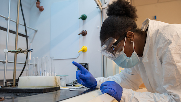 Nutmeg State Louis Stokes Alliance for Minority Participation (LSAMP ...