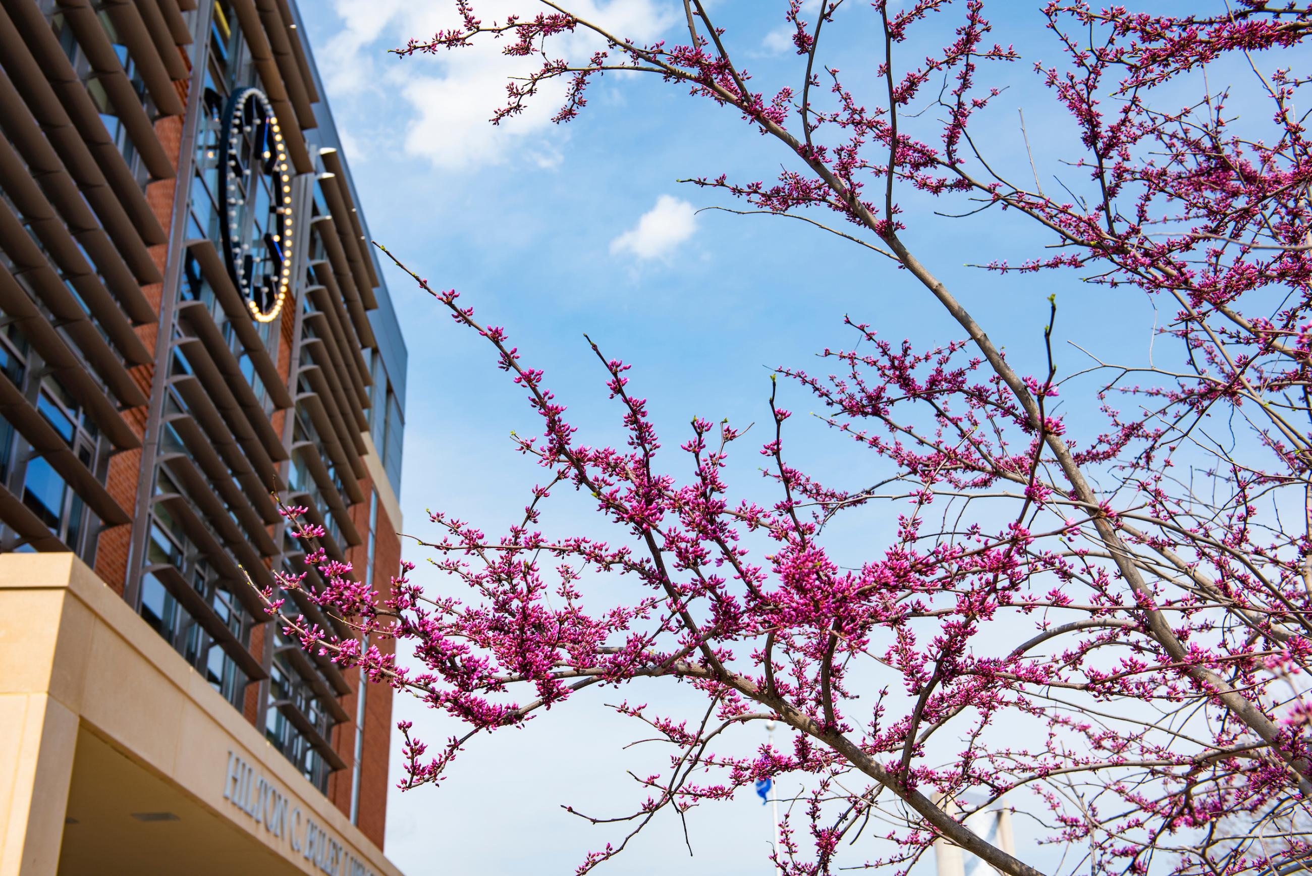 School Counselors | Southern Connecticut State University